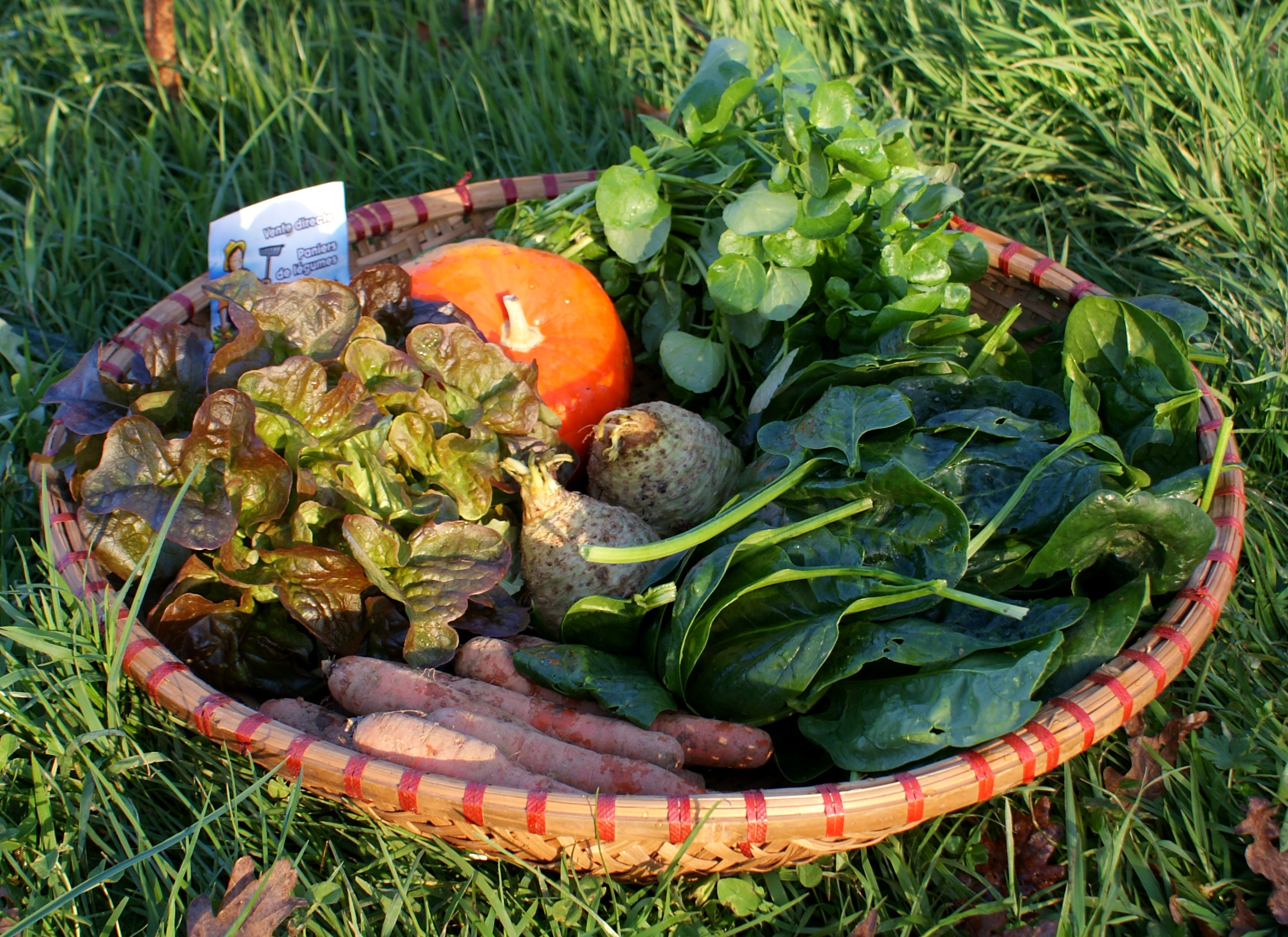 Grand panier de légumes - Le relais Paysan